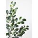 Silk Italian Ruscus Stem - 26" Tall - Walmart.com