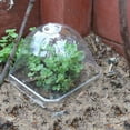 BERTDOMD Plastic Plant Cover Transparent Garden Freeze Protection ...