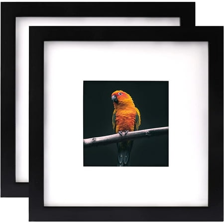 Black 10x10 Picture Frames Set of 2 Display Pictures 8x8 with Mat or ...