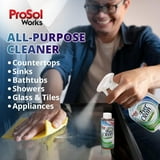 ProSol Works - All Purpose Cleaner Spray 4oz With Empty Cleaning Spray ...