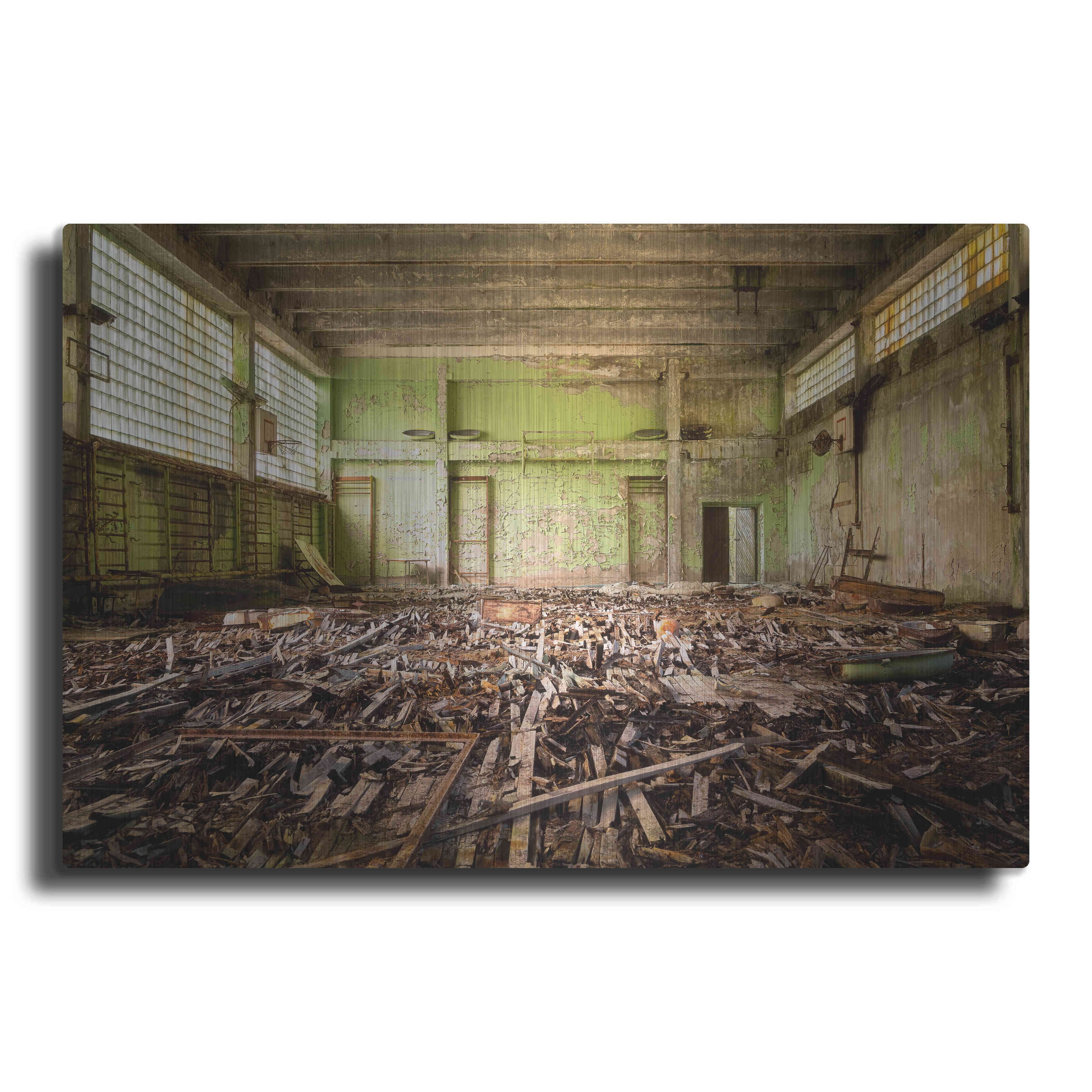 Luxe Metal Art 'Radiation Gym' by Roman Robroek Metal Wall Art, 24"x16 ...