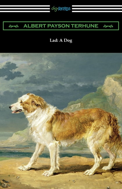 Lad : A Dog (Paperback) - Walmart.com - Walmart.com