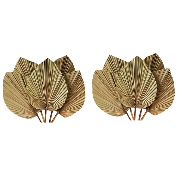 Dried Palm Leaves Room Decor 10 Pieces - 18Inch H X 10Inch W Natural ...
