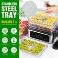 Food Dehydrator Machine, 8 Stainless Steel Trays Food Dehydrator with ...