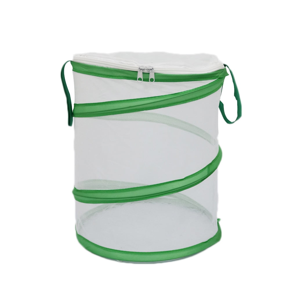 nipocaio 30X35CM Insect And Butterfly Habitat Insect and Butterfly Cage ...