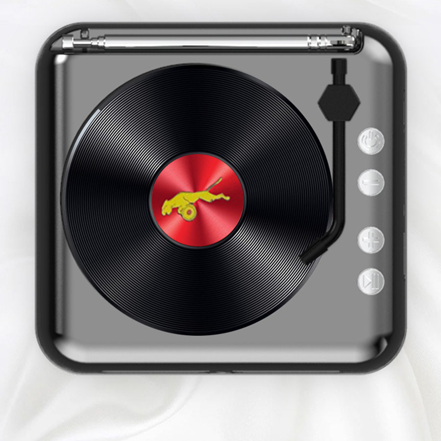 Turntable Record Player Portable Vinyl Record Player with Built-in ...