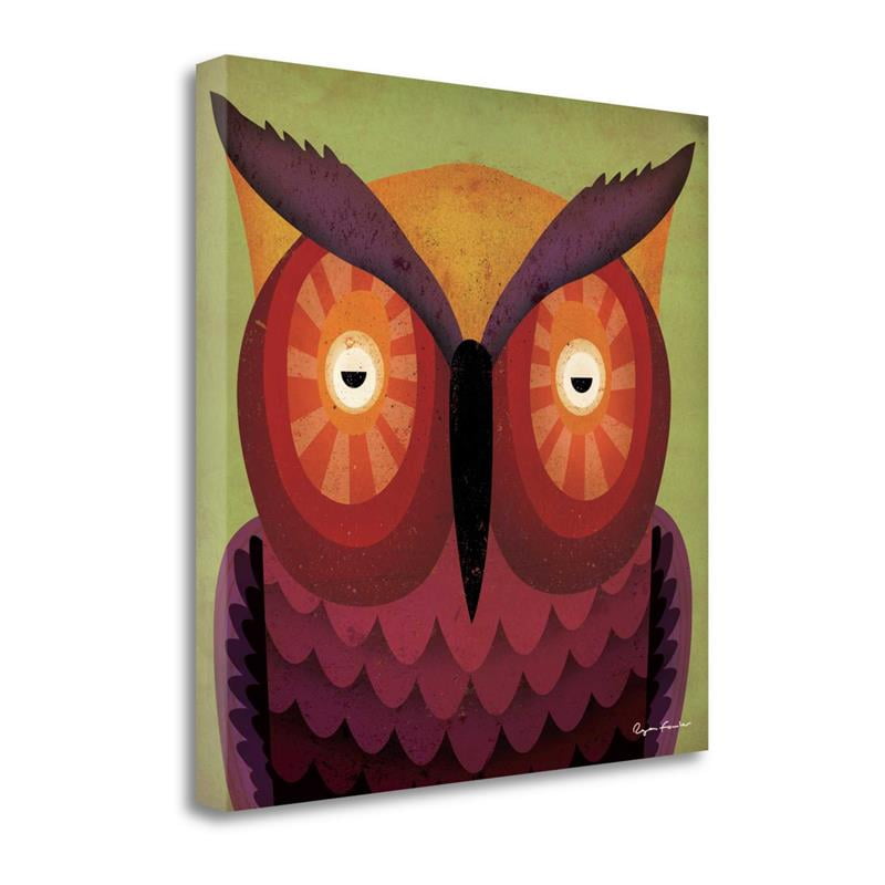 20" x 20" Owl Wow by Ryan Fowler - Wall Art Print on Canvas Fabric Multi-Color - Walmart.com