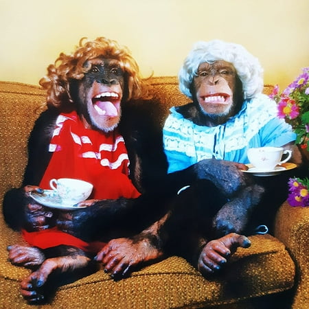 500 Piece Jigsaw Puzzle Chimpanzee Birthday Chimps Tea Party Funny ...