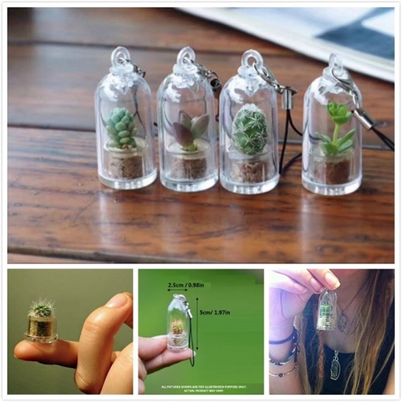 Mini Terrarium Crystal Mason Jar// keychain,necklace,car charm Plants ...