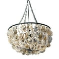 Creative Co-Op Metal & Oyster Shell Chandelier, Coastal Multicolor ...