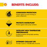 Shellzone Multi-Vehicle Antifreeze/Coolant, 50/50 Pre-Diluted, 1 Gallon ...