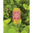 MATERVA Yerba Mate Soda, 12 fl oz Cans (Pack of 12, Total of 144 fl oz ...