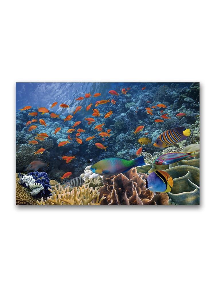 Tropical Reef Fish Landscape Poster -Image by Shutterstock - Walmart.com