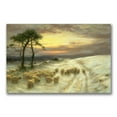 Trademark Fine Art Sheep In The Snow Canvas Wall Art - Walmart.com