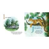 T Is for Tiger : A Toddler's First Book of Animals (Paperback ...