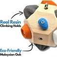 3D Rock Climbing Ball, Portable Realistic Boulder Block Rock Climbing ...