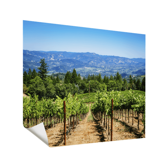 24x36 Poster Matte Photo Paper