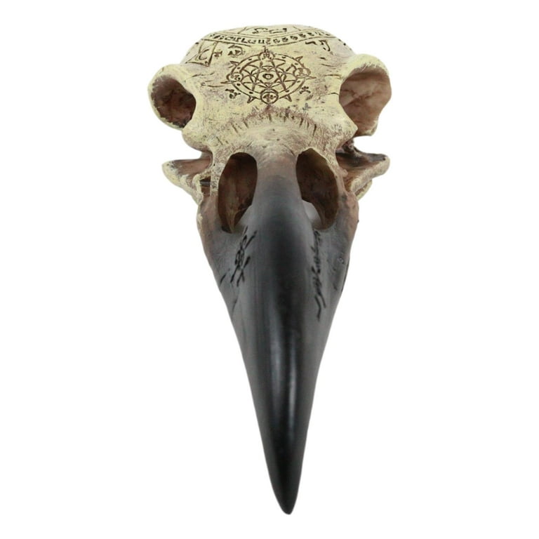 Raven Skull Front