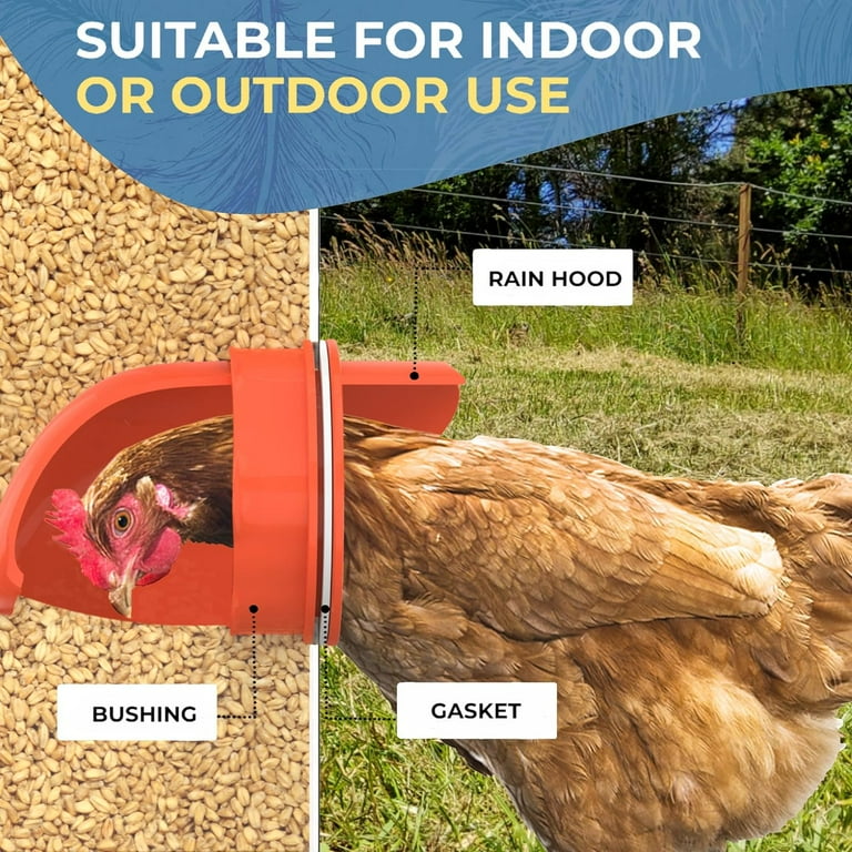 Homemade Automatic Chicken Feeder Generic DIY Automatic Poultry