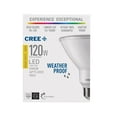 Cree Lighting PAR38 Weatherproof Outdoor Flood 120W Equivalent LED Bulb ...