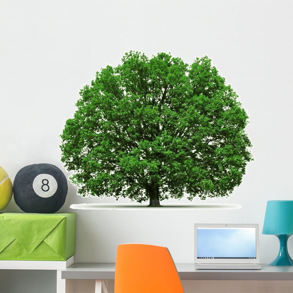 Oak Tree Wall Decal by Wallmonkeys Peel and Stick Graphic (36 in W x 26 ...