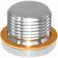 BDKWID-Internal Hex Head Socket Pipe plug M10x1 Thread Stainless Steel ...