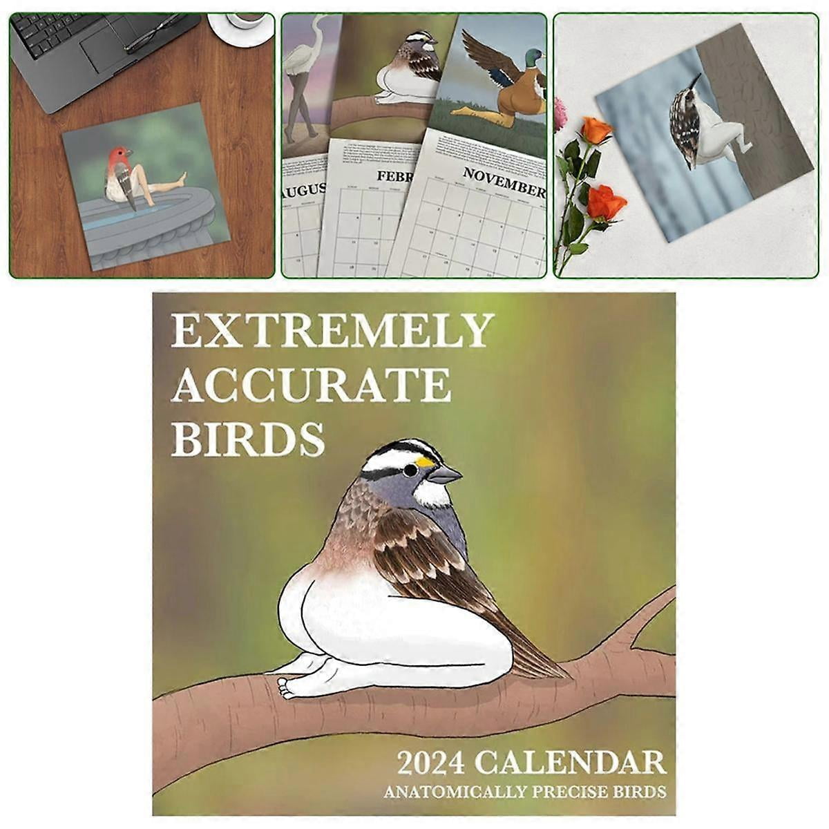 2024 Calendar of Extremely Accurate Birds 2024 Bird Calendar Wall ...