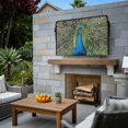 Animal Green Outdoor TV Cover 48 to 50 inch Peacock Waterproof ...