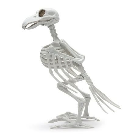 Crow skeleton Bones Movable Bones Skeleton for Haunted house party ...