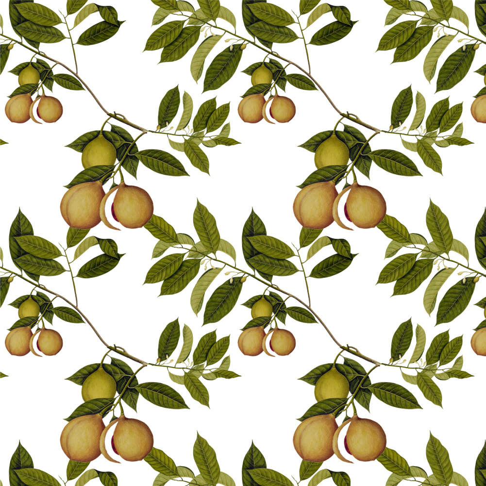 Fruit Tree Pattern Premium Roll Gift Wrap Wrapping Paper - Walmart.com