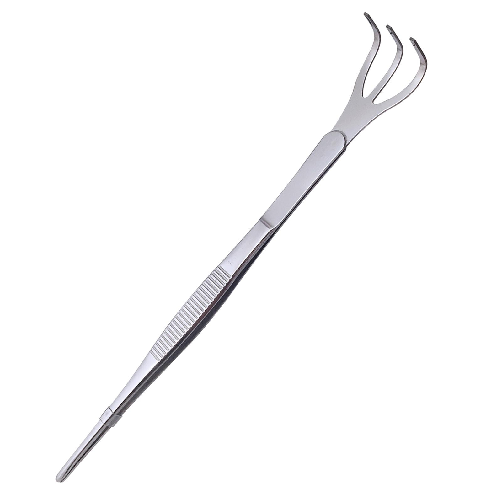 Soil Loosening Tweezer Stainless Steel Tweezer Bonsai Tweezer Fish Tank ...
