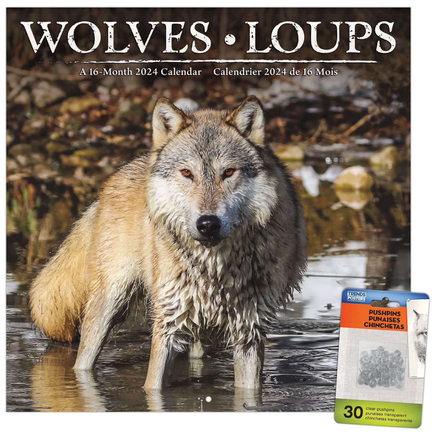 Trends International 2024 Wolves Wall Calendar & Push Pins - Walmart.com