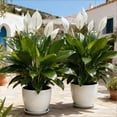 Virelaxpo Lifelike Artificial Potted Plant for Indoor Outdoor Home ...