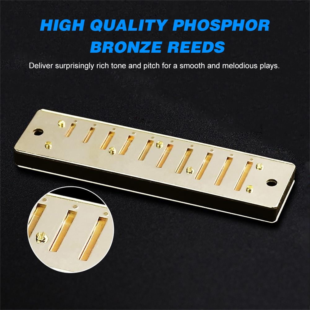 Buy Swan SW1020-7 10 Holes 20 Tones Blues Diatonic Harmonica Key of C ...