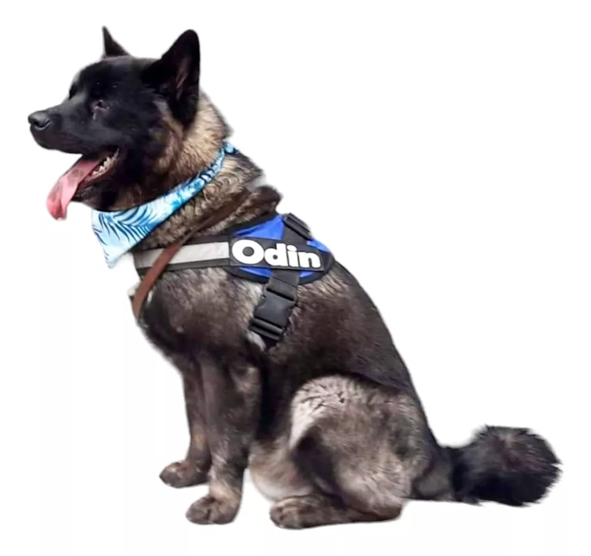 Arnes Para Perros Razas Grandes Personalizados Uso Rudo | Walmart en línea