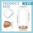 1Pc Glass Display Dome Cloche, 5.63x12.5inch Clear Decorative Bell Jar ...