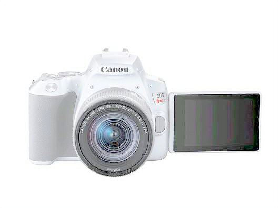 Canon Dslr White