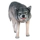 Design Toscano Call of the Wild: Growling Gray Wolf Statue - Walmart.com