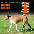 NeoAlly Dog Hind Leg Brace [Long Version] Canine Rear Leg Support with ...