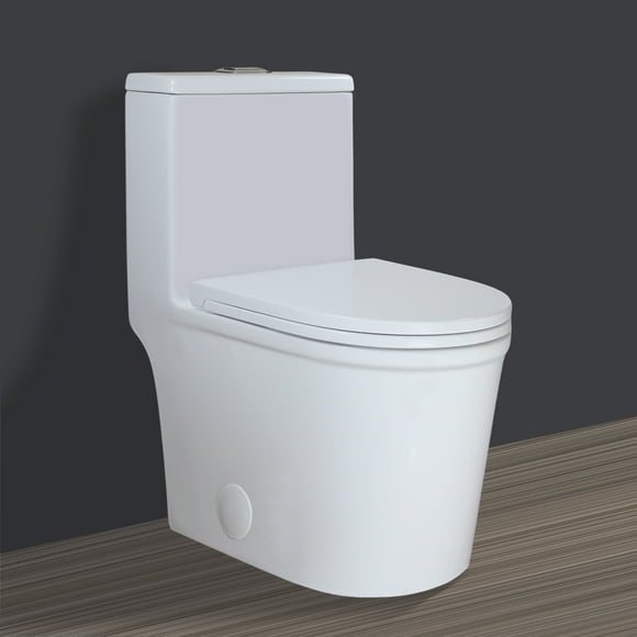 10 Inch Rough Toilet