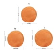 Beach Ball and Pool Ball Game, Inflatable PVC Play Ball for Pool, Solid ...