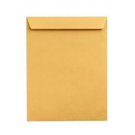 Catalog Brown Kraft Envelopes,Size 10 x 15 On 28-lb, 25 Per Pack ...