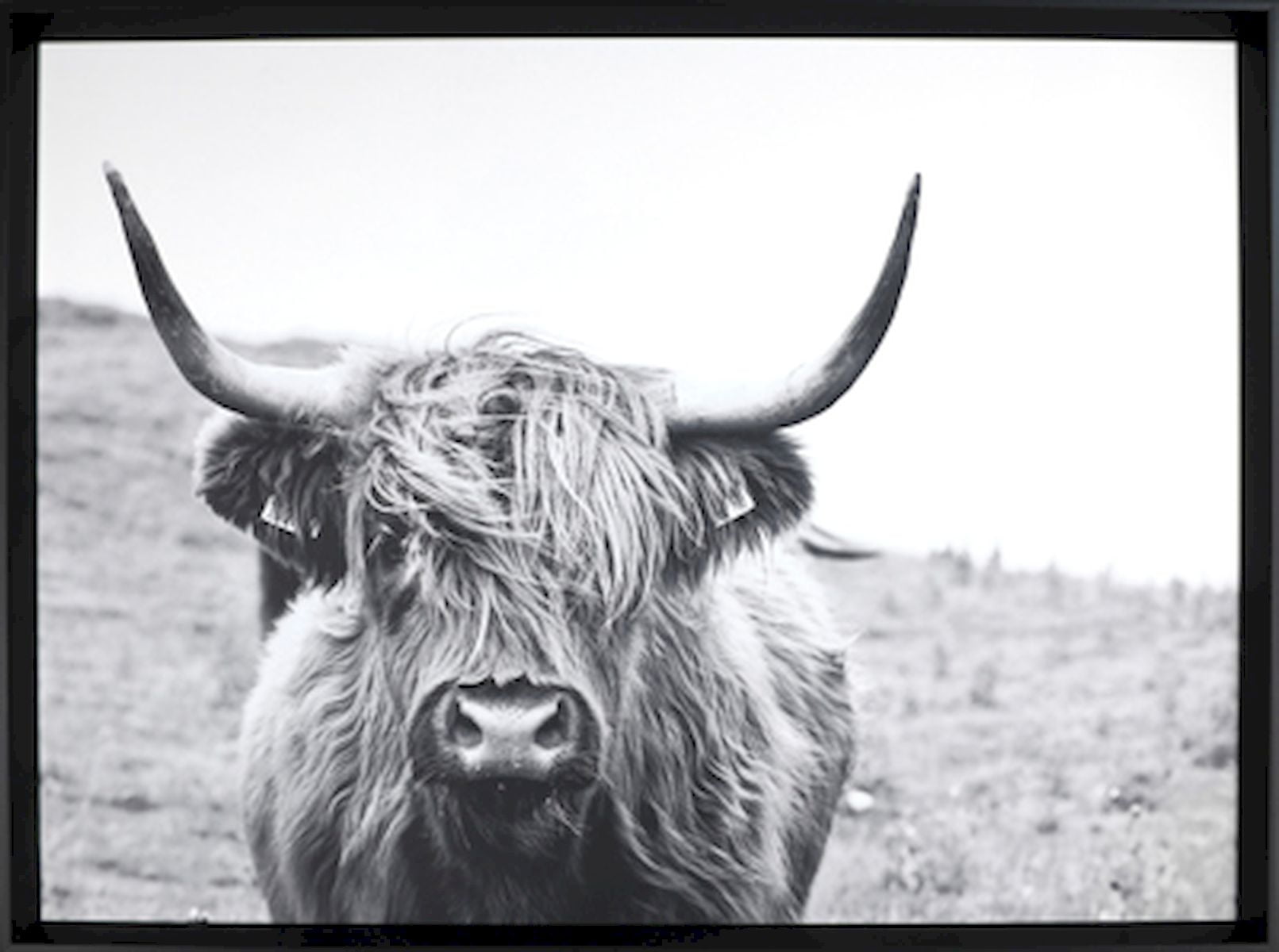 Yak Wall Decor - Walmart.com