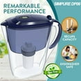 SimPure 10 Cup Water Purifier Pitcher with Standard Filter, DP06, Blue - Walmart.com