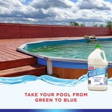 HTH Algae Guard 1 Gallon, Clarifying Treatment, Salt Water Cleaner ...