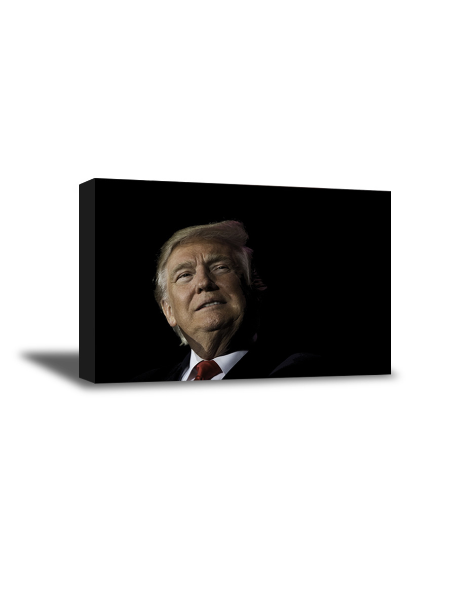 Awkward Styles Iconic Donald Trump Poster Portrait Patriotic Canvas ...