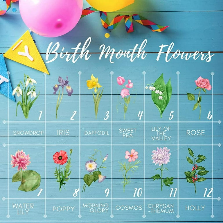 December Birth Month Flower