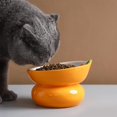 Ceramic Raised/Elevated Cat Food Bowl for Indoor Cats, Anti Vomiting ...