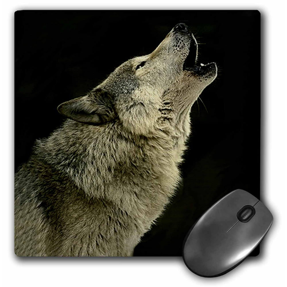 3dRose Timber Wolf, Mouse Pad, 8 by 8 inches - Walmart.com - Walmart.com