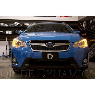 Diode Dynamics 2019-2020 Fits Dodge Charger Multicolor LED Boards ...
